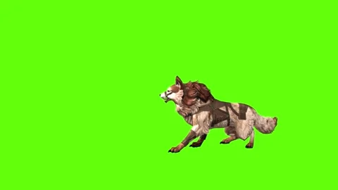 Wolf KT 2 death green screen animation ... | Stock Video | Pond5