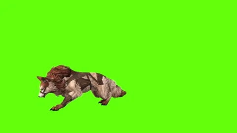 Wolf KT 2 jump attack green screen anima... | Stock Video | Pond5