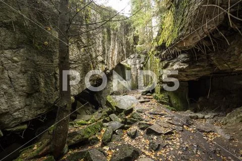 Wolf's Lair, Adolf Hitler's Bunker in Poland. First Eastern Front ...