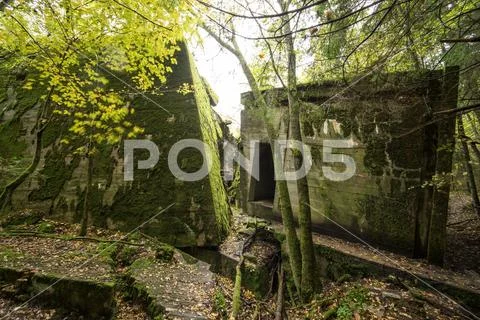 Photograph: Wolf's Lair, Adolf Hitler's Bunker in Poland. First Eastern ...