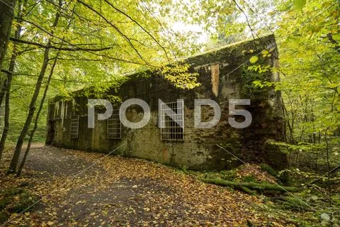Photograph: Wolf's Lair, Adolf Hitler's Bunker in Poland. First Eastern ...