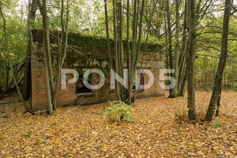 Photograph: Wolf's Lair, Adolf Hitler's Bunker in Poland. First Eastern ...