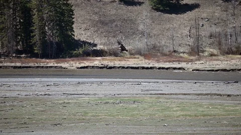 Playing In River Stock Footage ~ Royalty Free Stock Videos | Pond5