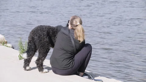 Dog Ducking Woman Stock Videos – Royalty-Free HD & 4K Videos