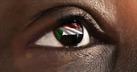 Video Irins Stock Videos – Royalty-Free HD & 4K Videos | Pond5