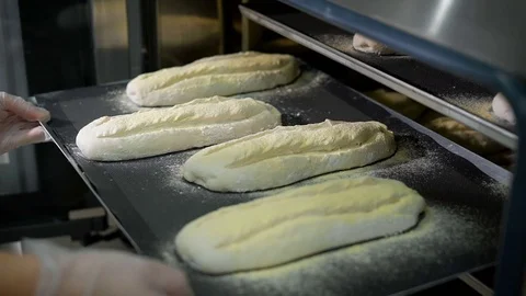 Duff White Stock Videos – Royalty-Free HD & 4K Videos