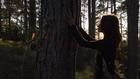 Tree Nature Woman Stock Videos – Royalty-Free HD & 4K Videos