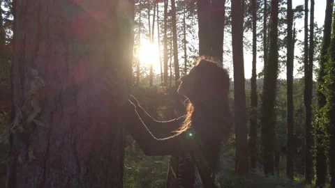 Tree Nature Woman Stock Videos – Royalty-Free HD & 4K Videos
