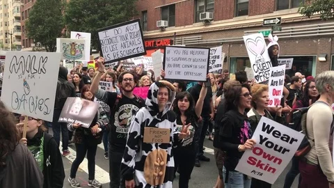 Animal Costume Woman Stock Videos – Royalty-Free HD & 4K Videos