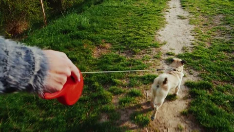 Favorite’ Stock Videos – Royalty-Free HD & 4K Videos