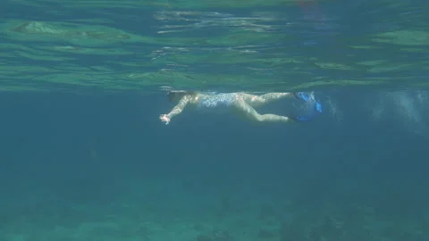 A Woman Diving Under Tropical Water Wear... | Stock Video | Pond5