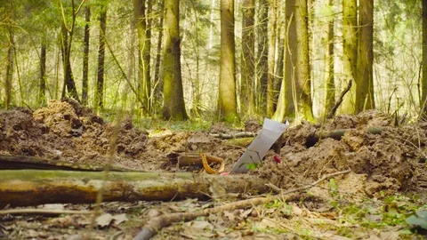 Woman ecologist in the forest digging a ... | Stock Video | Pond5