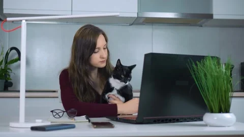 Kissing Cat Stock Video Footage | Royalty Free Kissing Cat Videos | Pond5