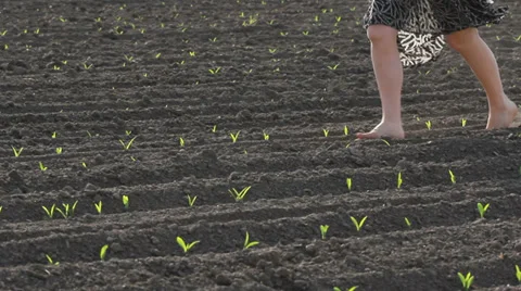 Woman feet run on spring fertile ground ... | Stock Video | Pond5