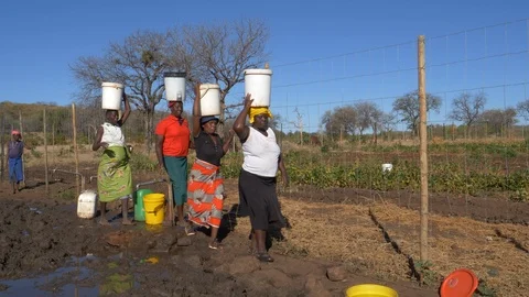 Woman filling up plastic containers to w... | Stock Video | Pond5