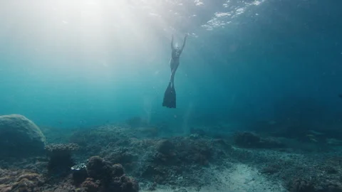 Woman freediver ascends. Young female fr... | Stock Video | Pond5