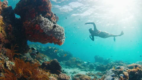 Woman freediver on reef. Young female fr... | Stock Video | Pond5