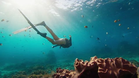 Woman freediver on reef. Young female fr... | Stock Video | Pond5