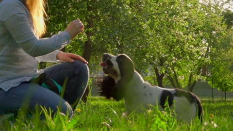 The woman is giving a command to her bla... | Stock Video | Pond5