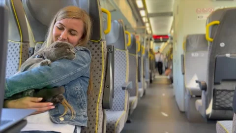 A woman with a gray cat in a modern tram... | Stock Video | Pond5