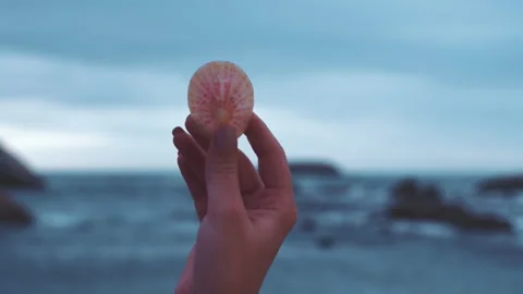 Woman hand hold seashell with water wave... | Stock Video | Pond5