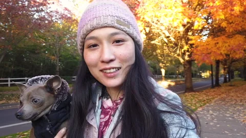 Filming Dog Stock Videos – Royalty-Free HD & 4K Videos