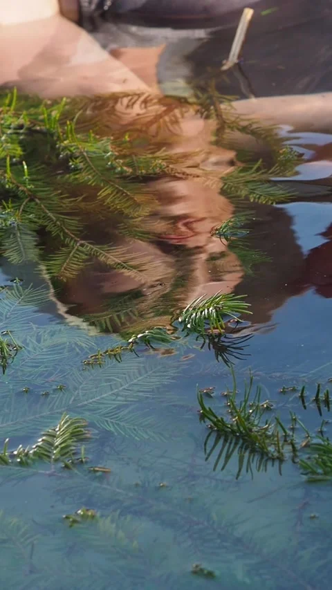 Hot Woman Tub Stock Videos – Royalty-Free HD & 4K Videos