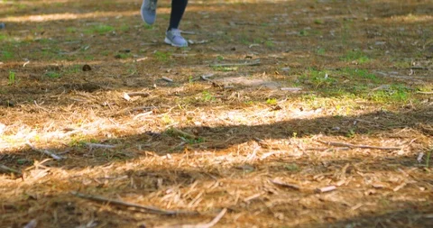 Woman jogging in the forest 4k | Stock Video | Pond5