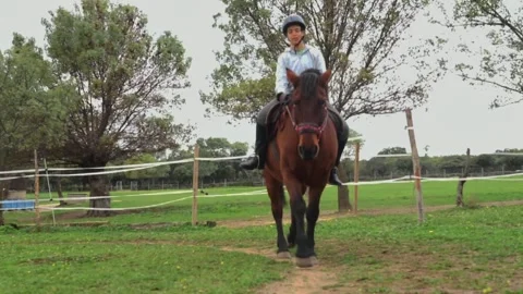 Learning Ceter Stock Videos – Royalty-Free HD & 4K Videos