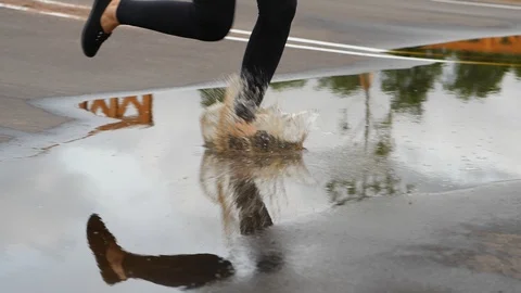 Woman legs run and jump in puddle, water... | Stock Video | Pond5