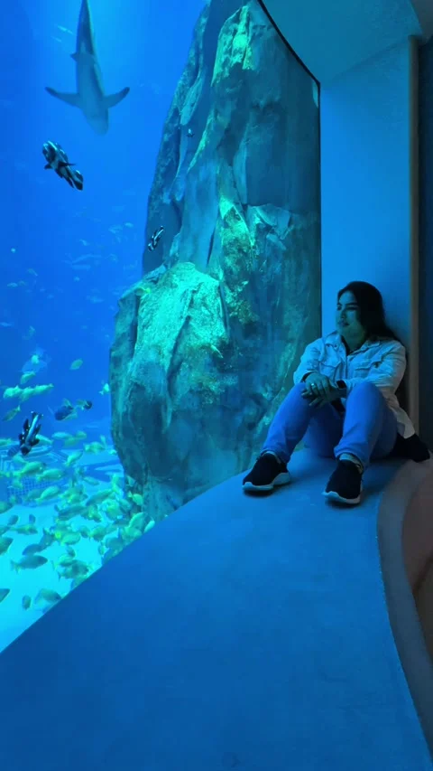 Sharking Japanese Girl Stock Videos – Royalty-Free HD & 4K Videos