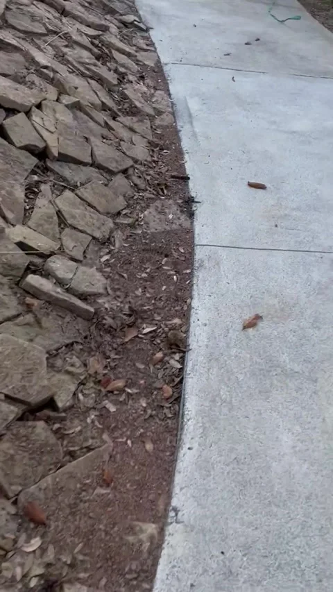 Woman Monterrey Stock Videos – Royalty-Free HD & 4K Videos