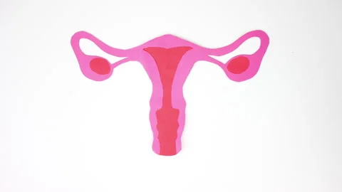 Period Female Menstruation Stock Videos – Royalty-Free HD & 4K Videos