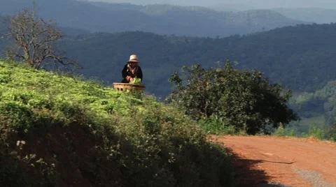 Woman Mon Stock Videos – Royalty-Free HD & 4K Videos