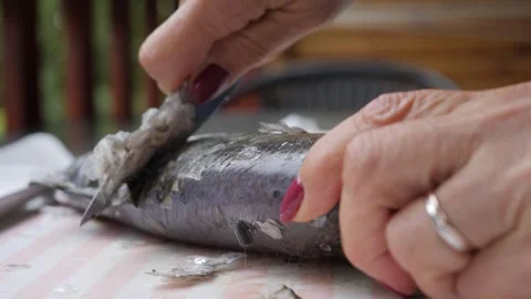 Woman peel off fish scales with kitchen ... | Stock Video | Pond5