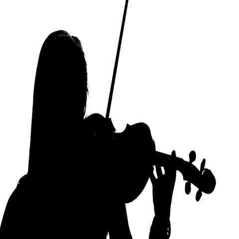 Woman playing the fiddle. Silhouette on ... | Stock Video | Pond5