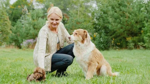 Play Any Stock Videos – Royalty-Free HD & 4K Videos