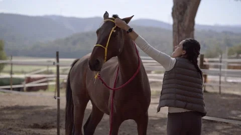 Woman Bridle Stock Videos – Royalty-Free HD & 4K Videos