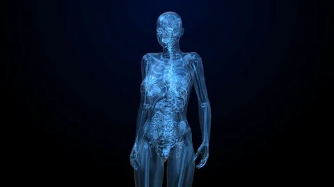 Woman Reproductive System Stock Video Footage | Royalty Free Woman ...