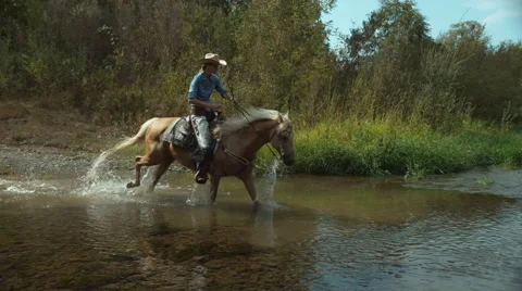 Woman With Horse Stock Videos – Royalty-Free HD & 4K Videos | Pond5