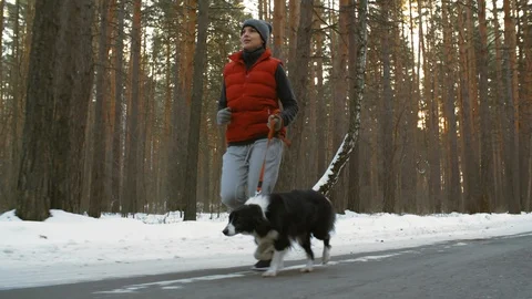 Woman Running with Border Collie in Wood... | Stock Video | Pond5