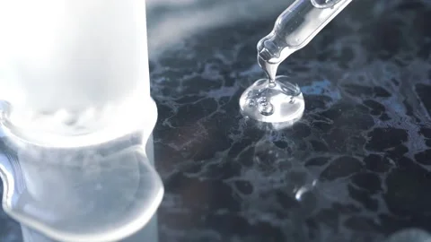 Image Of Serving Stock Videos – Royalty-Free HD & 4K Videos