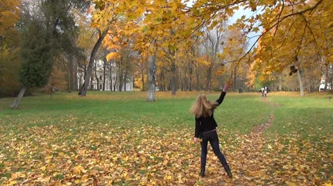 Shake A Branch Stock Video Footage | Royalty Free Shake A Branch Videos ...