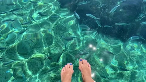 Shake A Leg Stock Video Footage | Royalty Free Shake A Leg Videos | Pond5