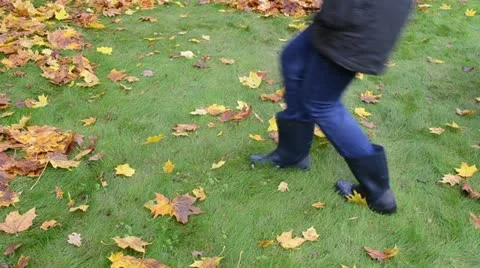 Shake A Branch Stock Video Footage | Royalty Free Shake A Branch Videos ...