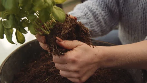 Soil Shaking Stock Videos – Royalty-Free HD & 4K Videos