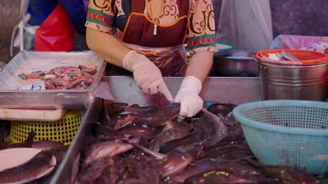 Woman Slaughtering Animals Stock Video Footage | Royalty Free Woman ...