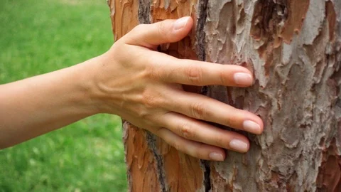 Woman Sliding Stock Footage ~ Royalty Free Stock Videos | Pond5