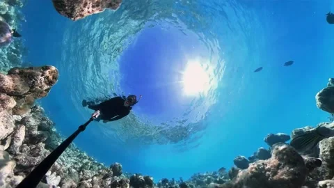 Full Body Camera Stock Videos – Royalty-Free HD & 4K Videos