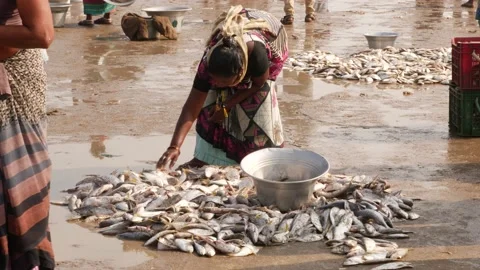 \Ground Ap01 Stock Videos – Royalty-Free HD & 4K Videos